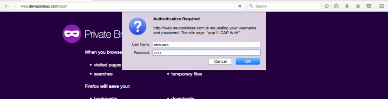 openLDAP - Basic Authentication using LDAP - Devopsideas